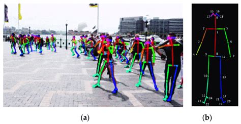 skeleton extraction based on openpose a multi person skeleton