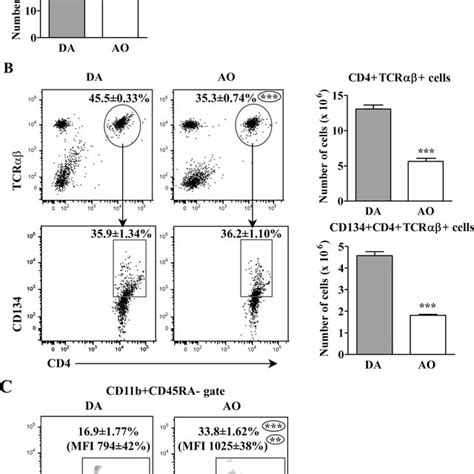Fewer Activated Cd4tcrαβ Cells In Draining Lymph Nodes Of Ao Rats