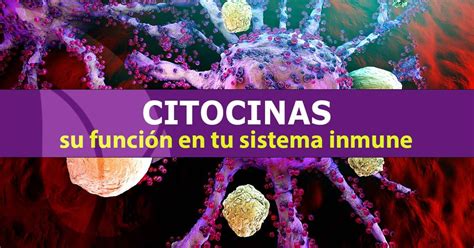 Citocinas Su Función En Tu Sistema Inmunológico