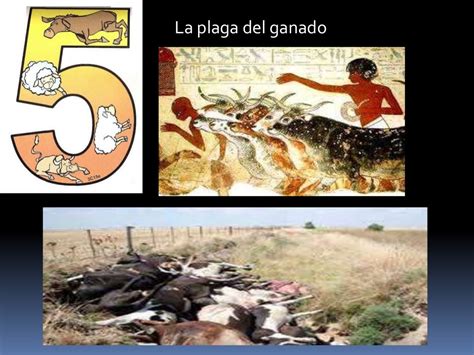 Éxodo Las 10 Plagas De Egipto Moisés