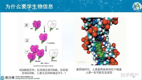 16srna测序技术与高通量测序技术有什么区别？ 知乎