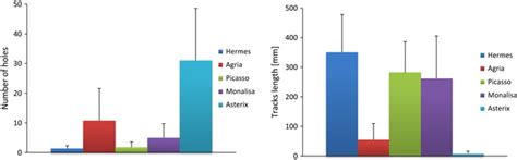 Progeny Of Epitrix Similaris Left And Epitrix Cucumeris Right In