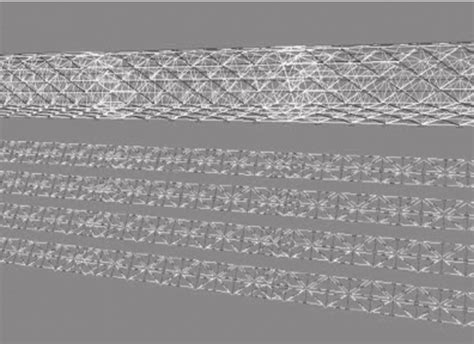 B 3d Wire Frame Model Displaying A Segment Of The Download Scientific Diagram