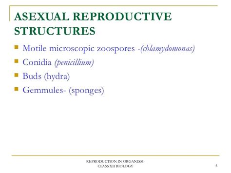 Reproduction In Organisms Cbse Class Xii Biology