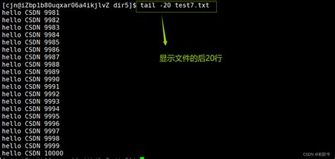 Linux入门练级篇 第三讲 基本指令3 Csdn博客