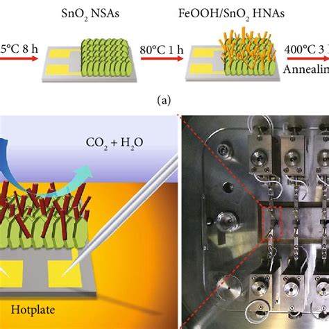 Schematic Diagrams Of A Synthesis Process Of α Fe 2 O 3 Sno 2 Hnas Download Scientific