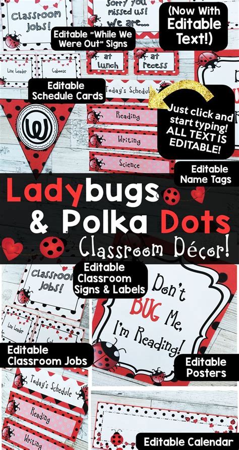 Ladybug Classroom Decor Editable Classroom Classroom Decor Classroom Themes