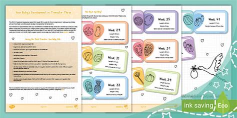 FREE Your Baby S Development In Trimester Three