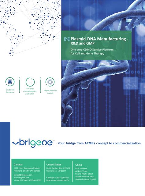 Plasmid Development And Production Ubrigene