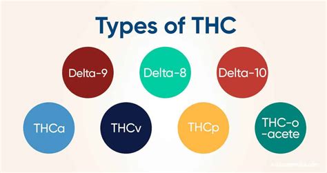 Types Of Thc And Their Effects Your Complete Guide To Thc Variants