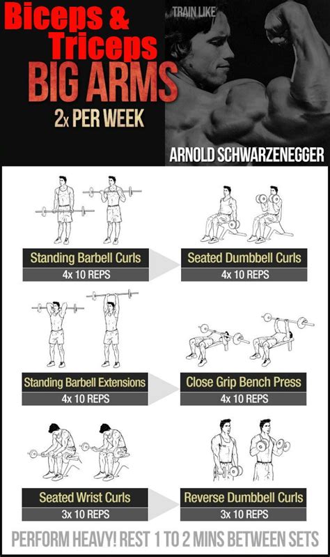 6 Exercises In 2 Supersets For Bigger And Stronger Triceps And Biceps Bicep