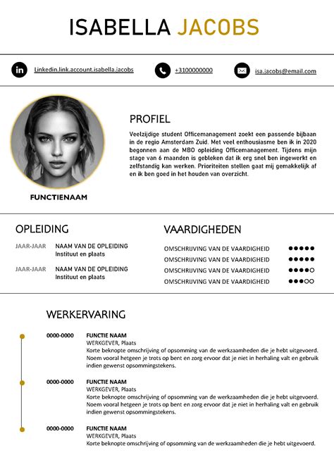 CV Voorbeeld 26 Eenvoudig Een Professioneel CV Maken Gratis