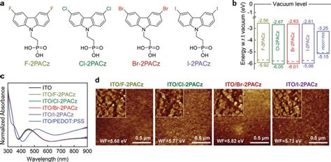 189 Efficient Organic Solar Cells Based On N Doped Bulk Heterojunction And Halogen Substituted