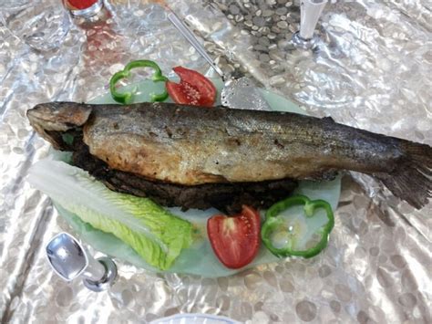 طرز تهیه لونگی؛ غذای مجلسی و لذیذ گیلانی کجارو