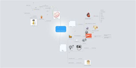 3 Trimesters Of Pregnancy Mindmeister Mind Map