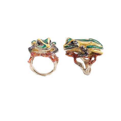 Big Froggy Bronze Ring With Enamel Bernard Delettrez