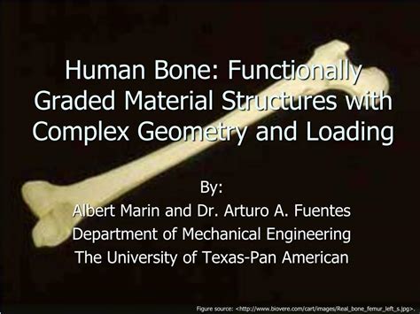 Ppt Human Bone Functionally Graded Material Structures With Complex Geometry And Loading