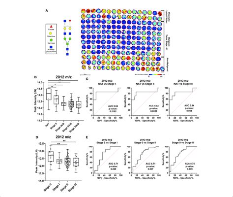 N Glycan 2012 Mz Has Specific Intensify Patterns In Breast Cancer