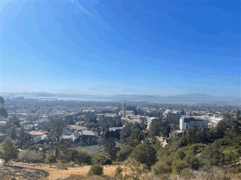 Danielle Sobkin On Linkedin Ucberkeley Education Learning Opportunities University