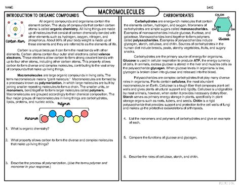 Macromolecules In Organic Chemistry Structure Function And Types