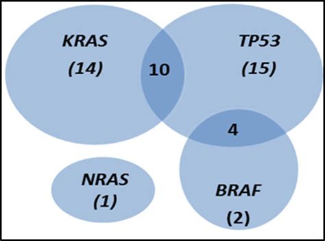Venn Diagram Showing The Distribution Of Kras Nras Tp53 And Braf