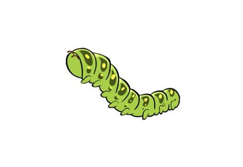 Caterpillar Insect Clipart Png Graphic By Tivecreate · Creative Fabrica