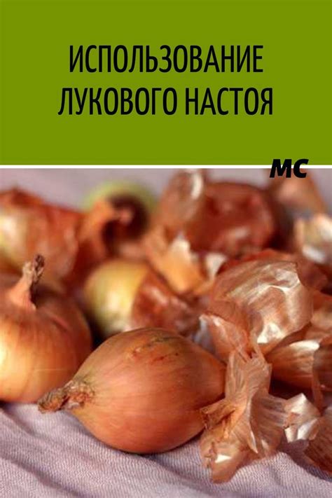 Сад Огород Целебные травы Домашнее лечение Посадка чеснока