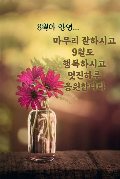 오늘이 가장 행복한날 되셔요 뉴스트림