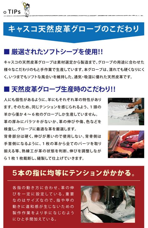 【楽天市場】オレンジパッケージキャスコ プロフェッショナルモデル ゴルフグローブ ソフトシープ 本格天然皮革 手袋 1枚 Pt 300