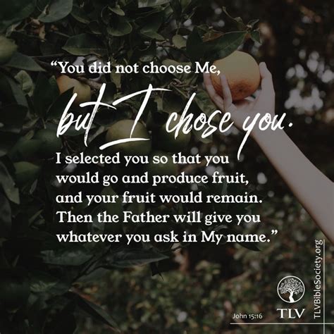 You Did Not Choose Me But I Chose You I Selected You So That You