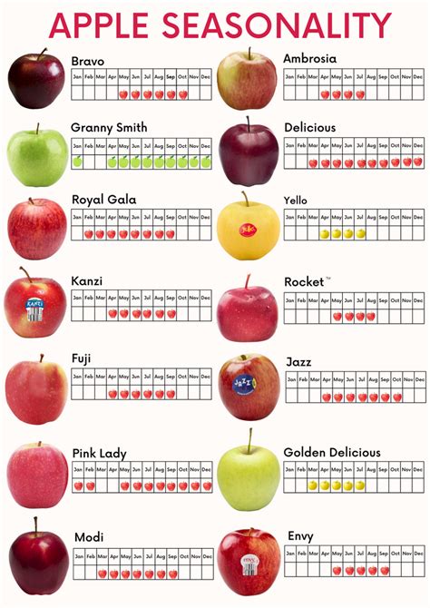 Types Of Apples Chart