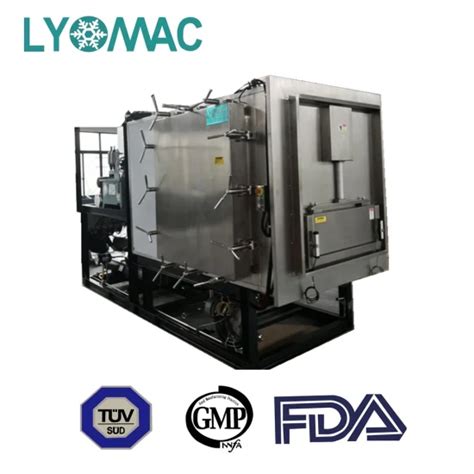 Medical Pharmaceutical Freeze Dryer Vacuum Freeze Dryerlyophilizer