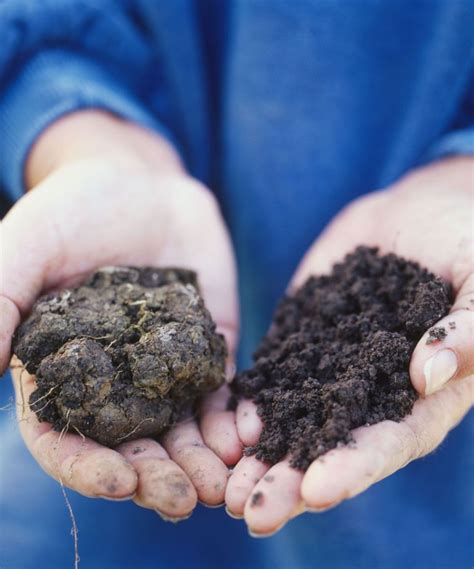Soil Types The Ultimate Guide For Gardening Success Homes And Gardens