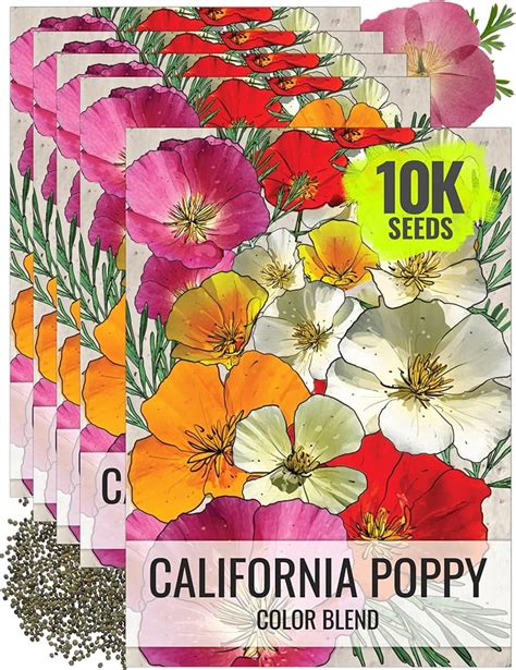 California Poppy Colours
