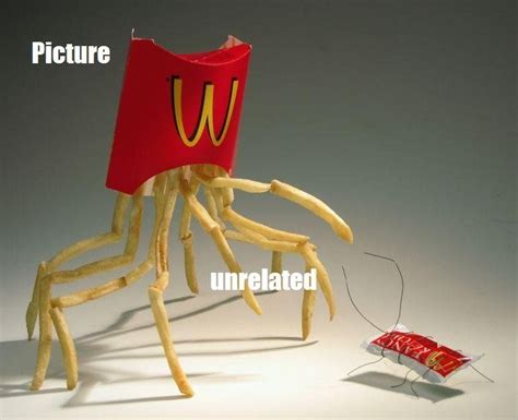 Image 112261 Picture Unrelated Know Your Meme