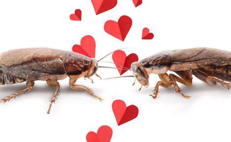 Photo Liudmila Chernetskaistock Getty Images Plusgetty Images