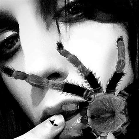 Sleye Phobia Lyrics Genius Lyrics