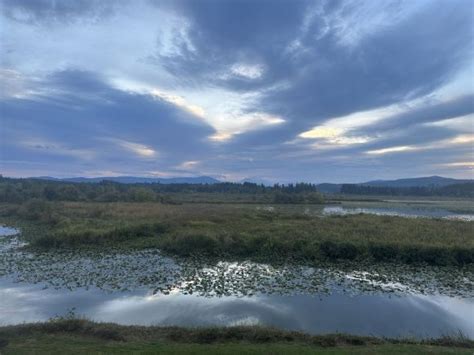 Навлизам кротко в есента…