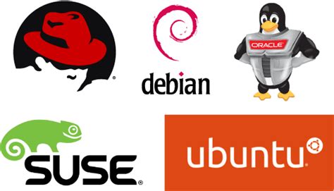 Oracle Linux Logo LogoDix