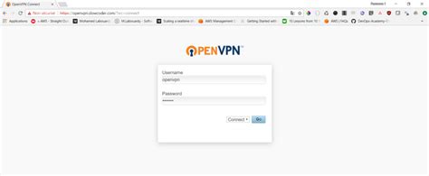 Aws Openvpn Access Server Bitcoin Insider
