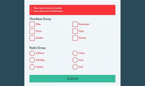 JavaScript Form Validation Code Examples OnAirCode