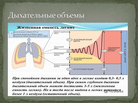 Методы оценки функции внешнего дыхания - презентация онлайн