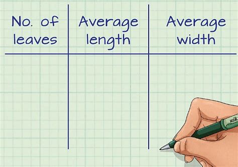 Crop Growth Measurement Crop Growth Assessment And Modelling Crop Production Crop
