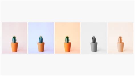 Ppt 기본 35 Ppt 그림 밝기색깔채도명도 조절하기 Ppt그림사진색깔바꾸기 파워포인트 그림사진 색깔바꾸기 네이버 블로그