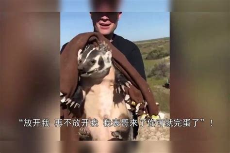 地里发现一个大洞男子伸手一扒拉提出个死狗非狗家伙