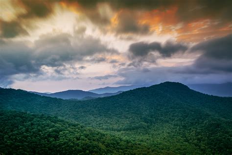 Free Images Landscape Tree Nature Forest Grass Outdoor Horizon