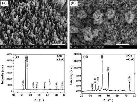 Sem Images A B And Xrd Patterns C D Of The Nanorod A C And