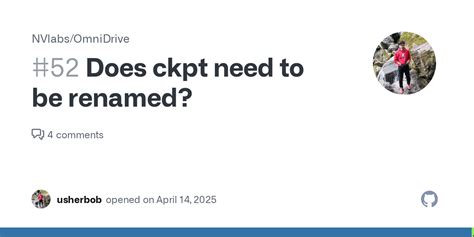 Does Ckpt Need To Be Renamed · Issue 52 · Nvlabsomnidrive · Github