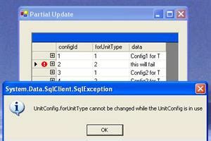 Using A DataTable With Minimal Partial Update Stored Procedures CodeProject