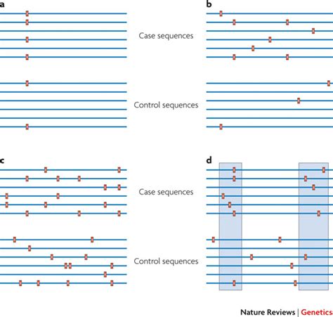 Scenarios In Which Dna Sequence Variants Distinguish Cases And
